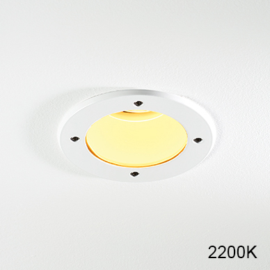 Designplan Lighting, Inc. | RT Vandal Resistant Downlight, IP65 Wet ...