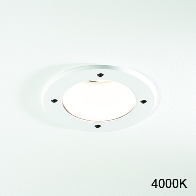 Designplan Lighting, Inc. | RSR Vandal Resistant Downlight, IP65 Wet ...