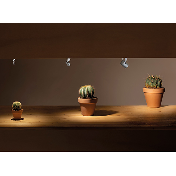 Designplan Lighting, Inc. | Gem 1.1 Compact Adj. LED Floodlight, Ø0.9 ...