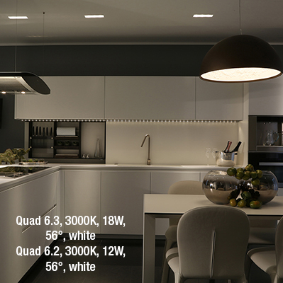 Designplan Lighting, Inc. | Quad 6.2 Recessed, Adjustable Flangeless ...